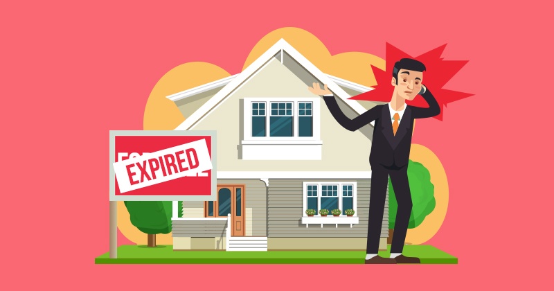 Through the Eyes of an Expired Owner